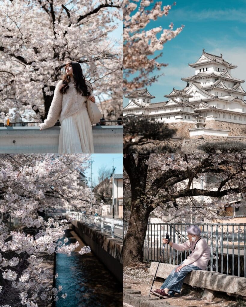 FLEXPRESETS – 人人都能成為調色大師