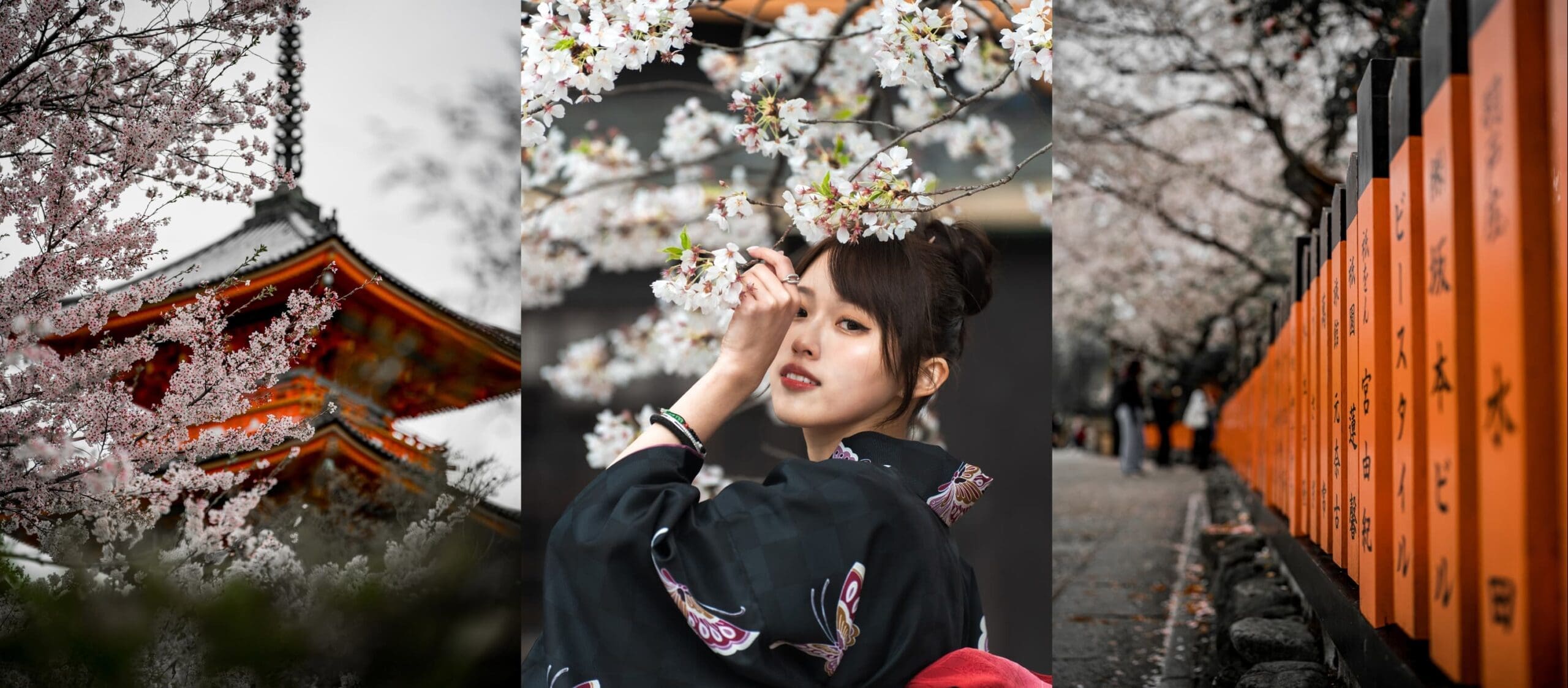 FLEXPRESETS – 人人都能成為調色大師